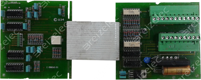 VARIO PARLOUR BOARD - DELAVAL SERIES - ELDEFF00063 - Breizelec