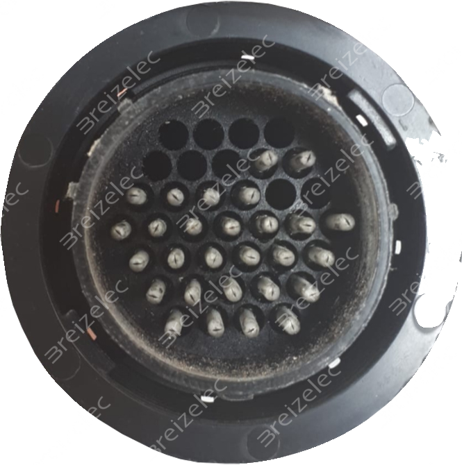DataVISION FIELDSTAR MONITOR (28 PIN CONNECTOR) - MASSEY FERGUSON ...